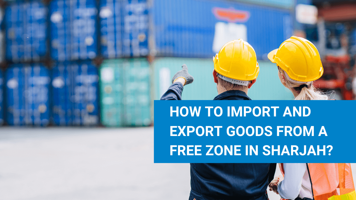 How to Import & Export Goods in UAE? - Aurion Blog