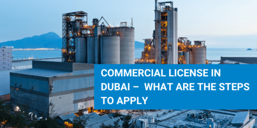 Business License Types in UAE Free Zones – AURION